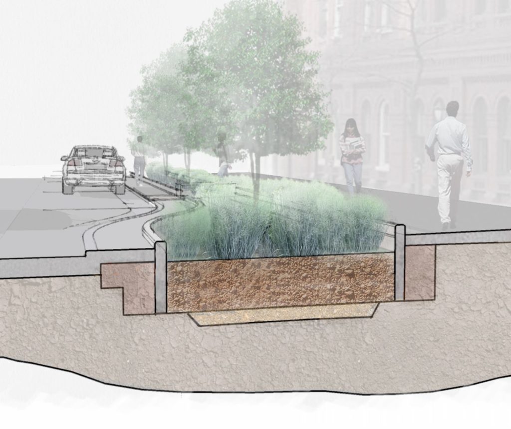 Denver Ultra Urban Green Infrastructure Guide