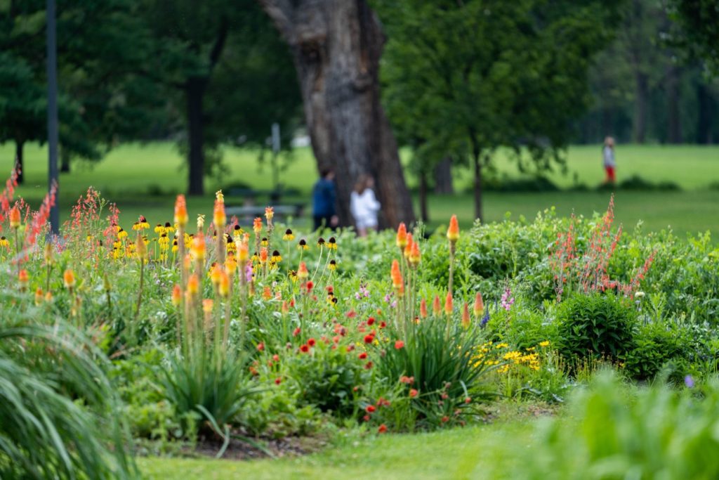 Washington Park Loop Road