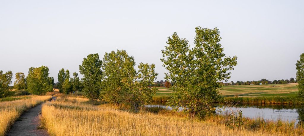 Stream Landscape Architecture and Planning