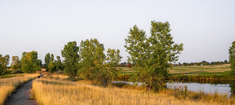 Stream Landscape Architecture and Planning