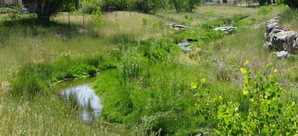 Stream Landscape Architecture and Planning